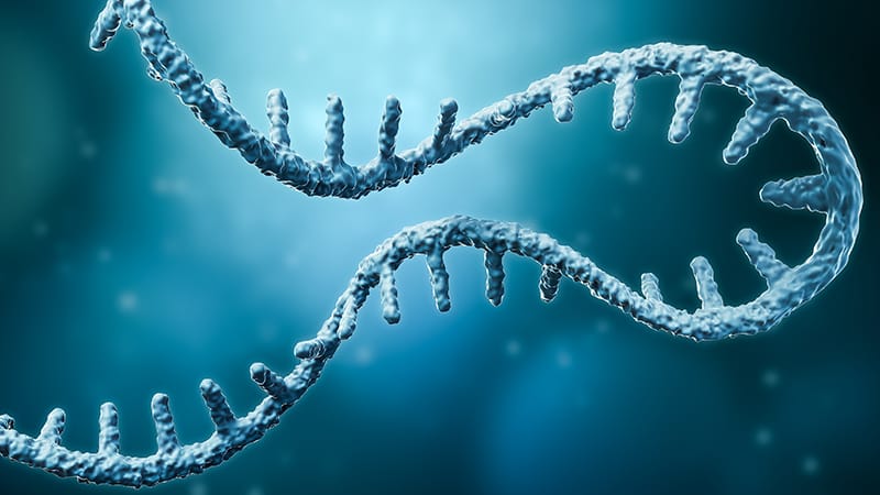 Vaccins à ARNm : des virus aux cancers, une révolution thérapeutique en ...