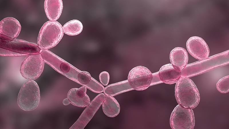 Understanding the Latest Treatment for Atrial Fibrillation: Pulmonary ...