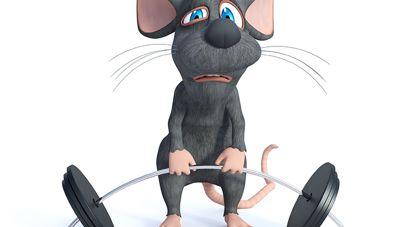 L’inhibition du GDF-15, un espoir de traitement de la cachexie cancéreuse