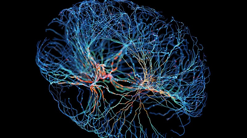 Chemical Imbalances in Frontal Regions of Brain Key to OCD