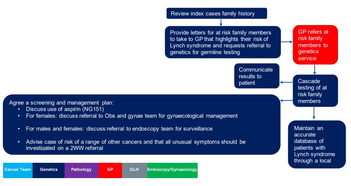 Implementing Lynch Syndrome Testing and Surveillance Pathways