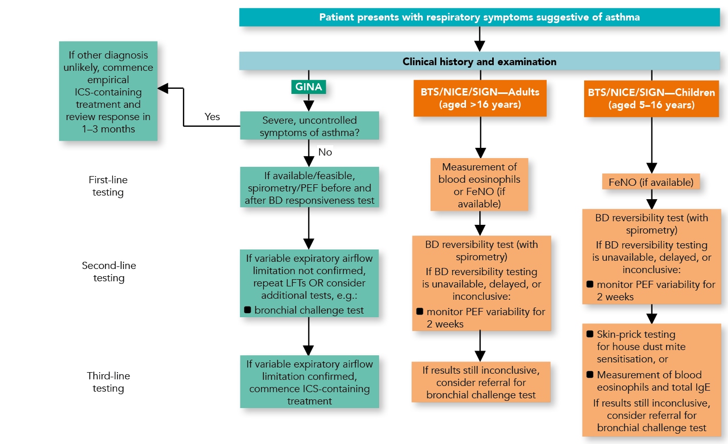 Asthma: The 2024 GINA Strategy