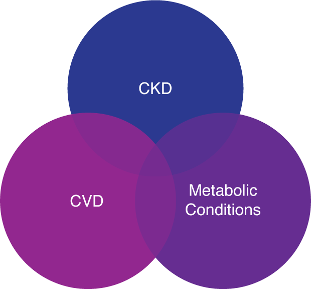 Managing Cardiovascular, Renal, and Metabolic Conditions in Primary ...