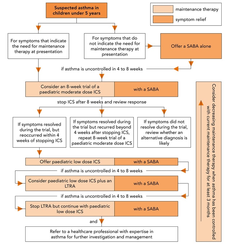 Asthma: There Is No Single Gold Standard Diagnostic Test