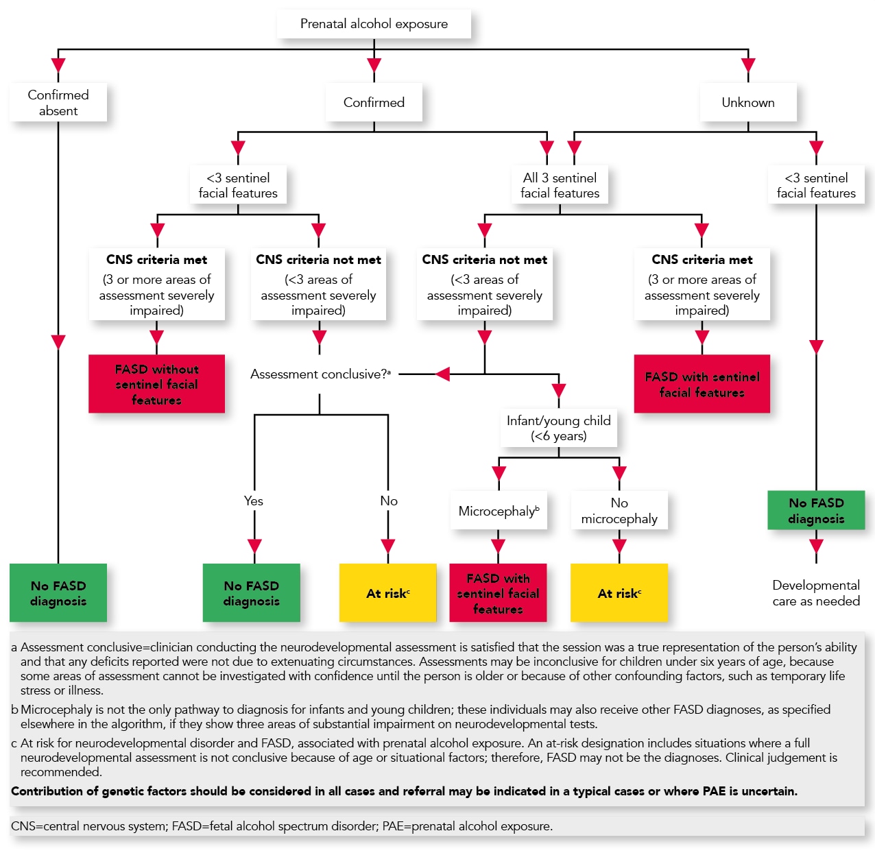 Prenatal Alcohol Exposure
