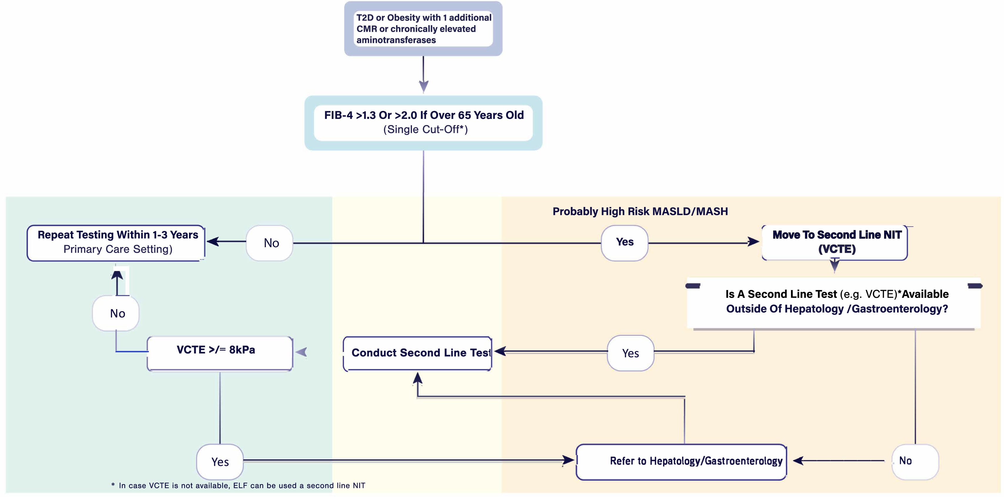 MASLD and MASH: Investigations and Management