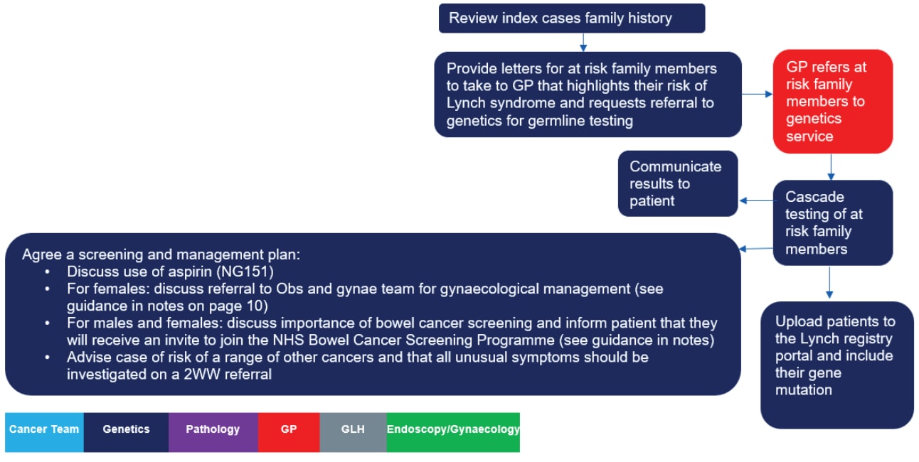 Lynch Syndrome Testing and Surveillance Pathway: NHS 2023 Guideline Summary