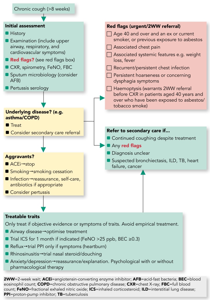 Chronic Cough, Adults: Management