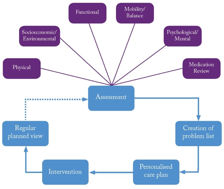 Frailty: Multi-Guideline Expert Insight