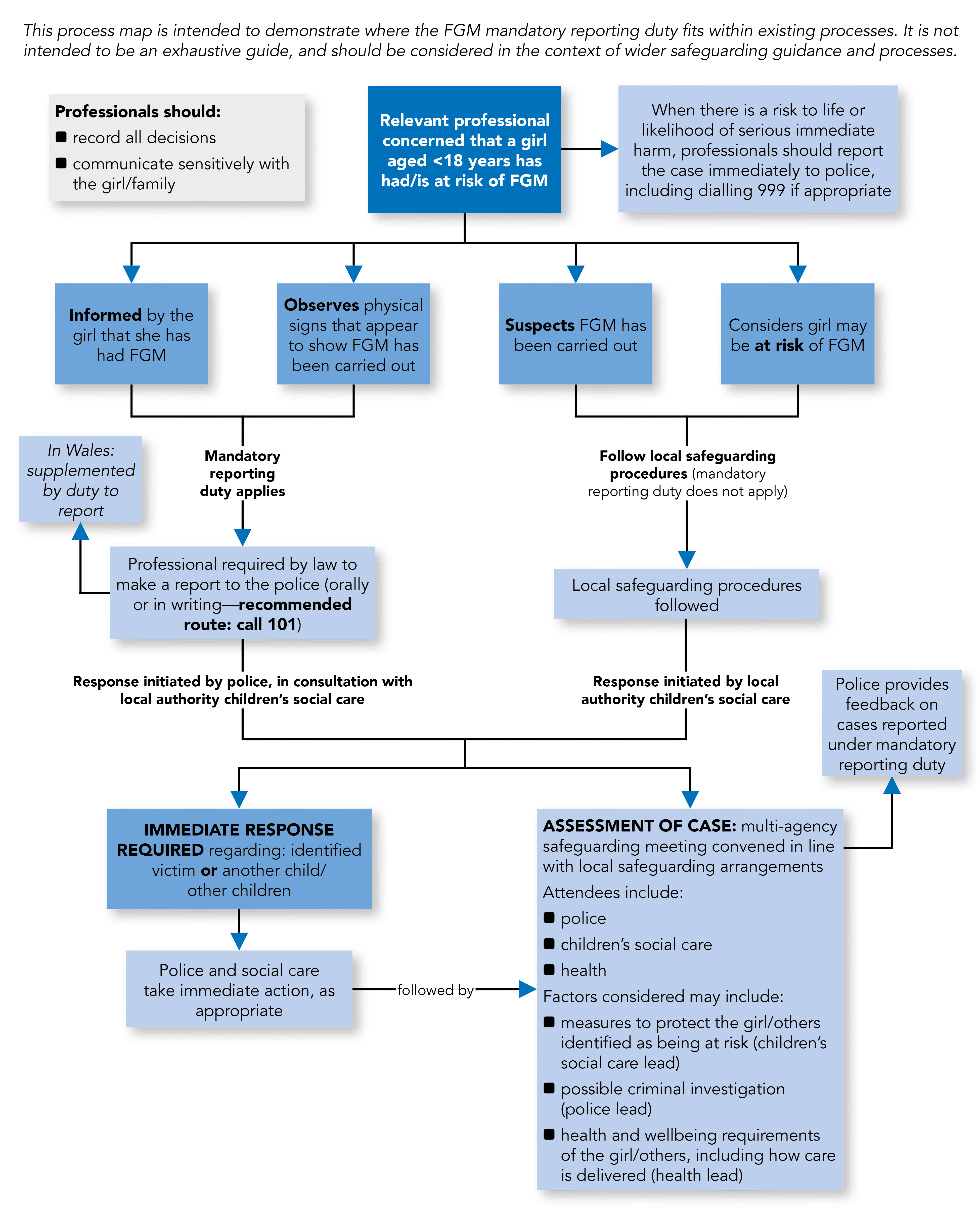 Female Genital Mutilation, Reporting: WHO 2024 Guideline Expert Insight