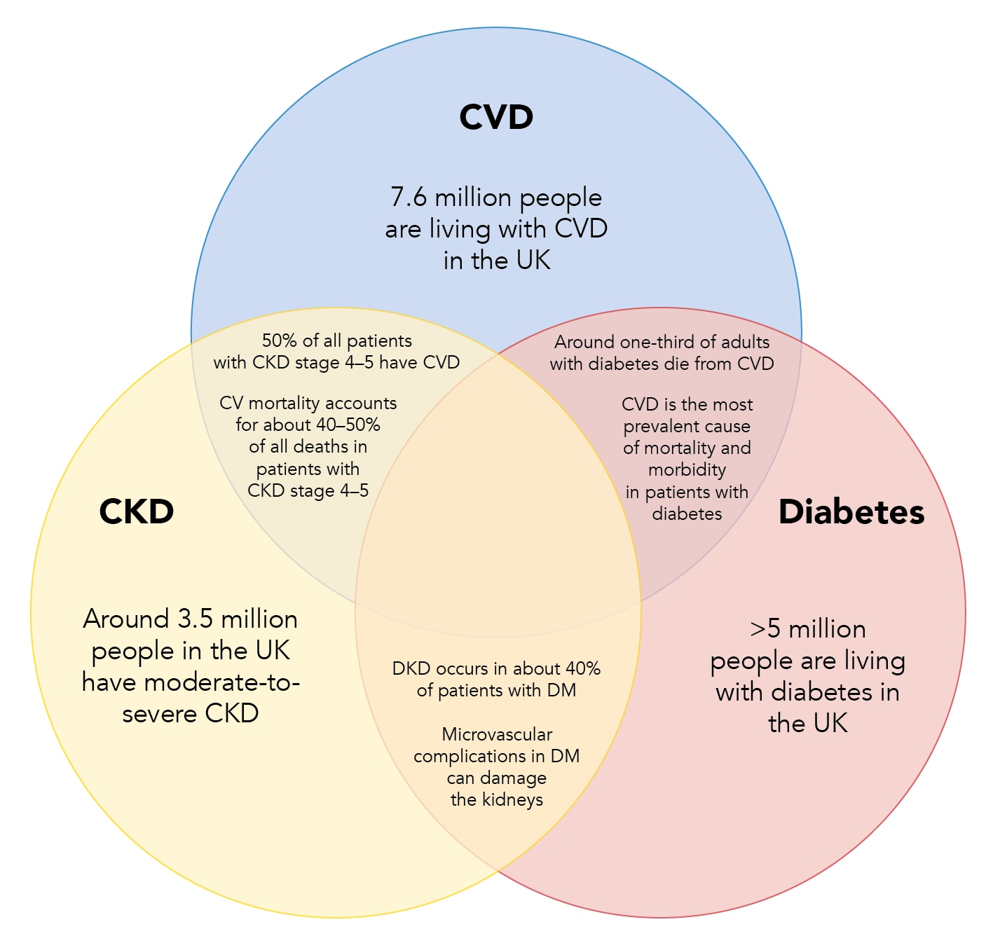 Practise Holistic Care for Cardiovascular–Renal–Metabolic Conditions