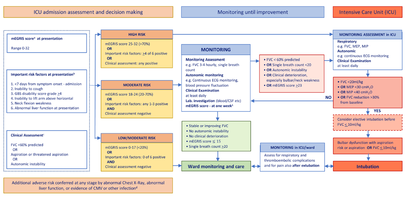 Guillain–Barré Syndrome: Multi-Guideline Expert Insight