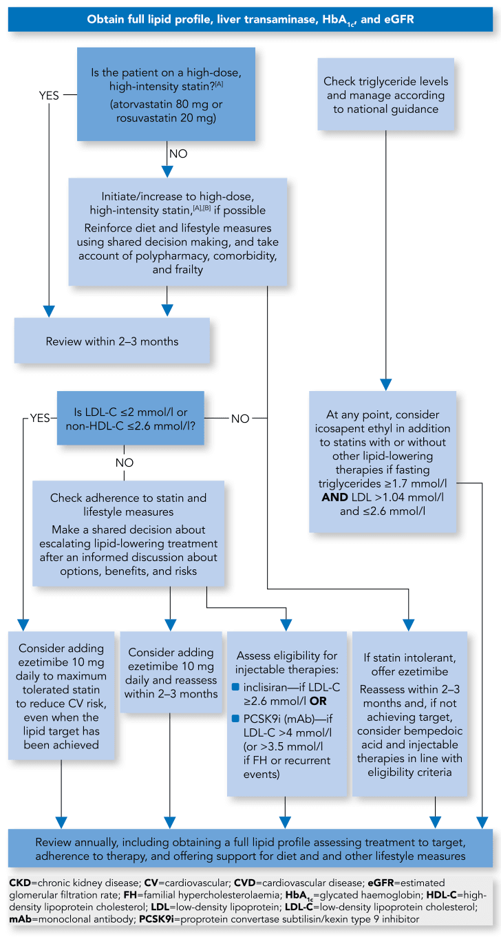 Cardiovascular Disease, Pharmacists and Inclisiran: Multi-Guideline ...