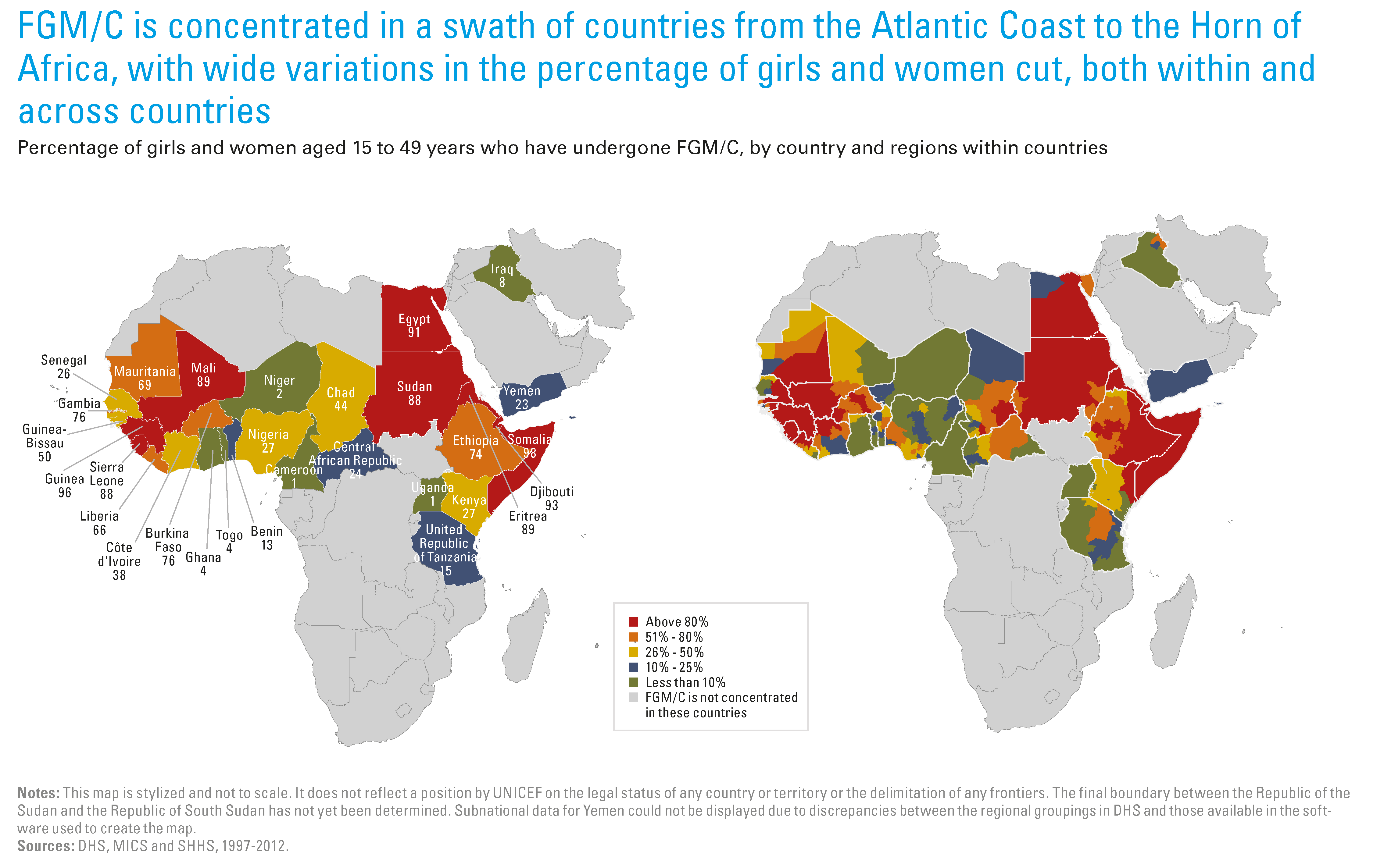 Female Genital Mutilation, Reporting: WHO 2024 Guideline Expert Insight