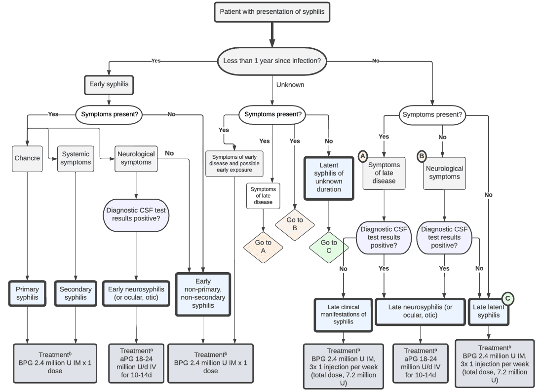 Syphilis Recognition and Management: US Government 2023 Guideline Summary