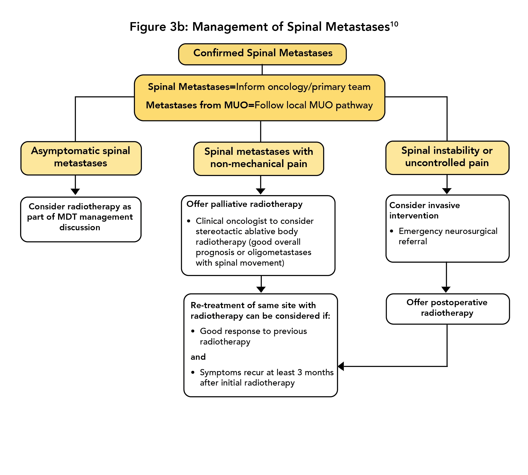 Spinal Metastases and MSCC: NICE 2023 Guideline Expert Insight