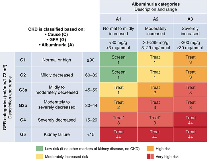 Chronic Kidney Disease Identification and Management: Primary Care Hack