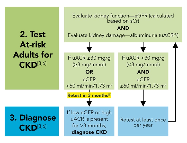 Chronic Kidney Disease: Primary Care Hack