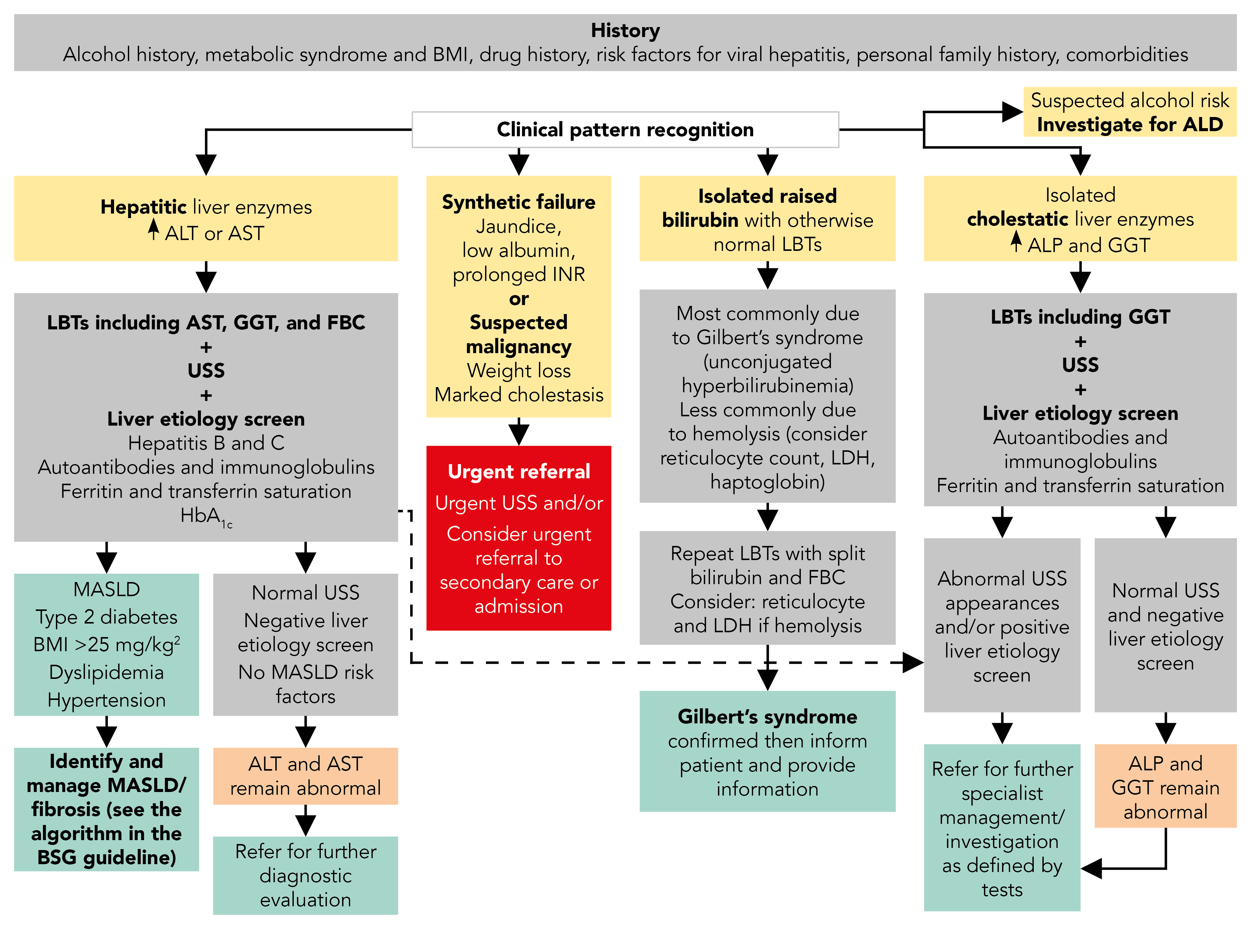 Liver Blood Test Interpretation: Primary Care Hack