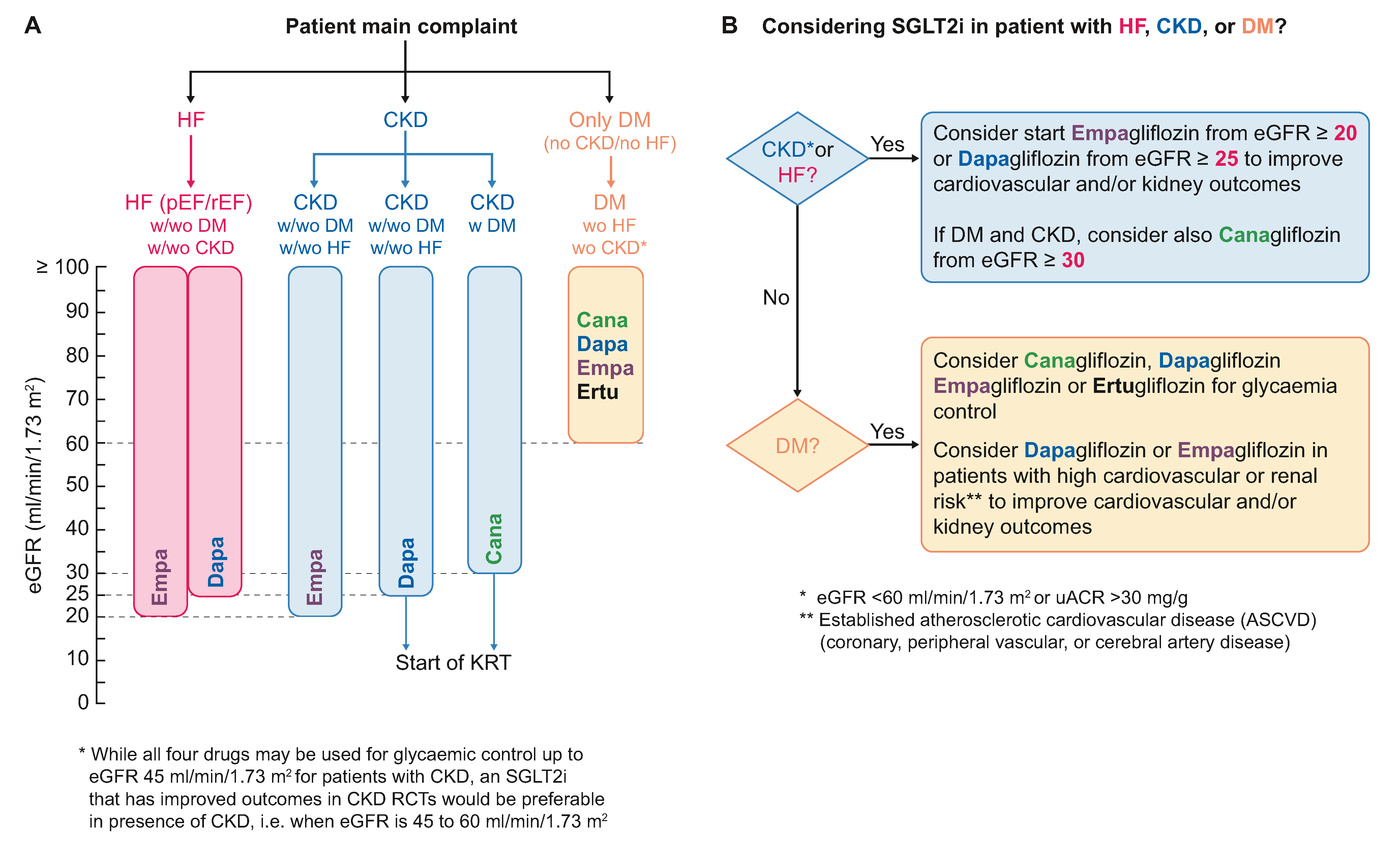 SGLT2 Inhibition in Chronic Kidney Disease: ERA 2023 Guideline Summary
