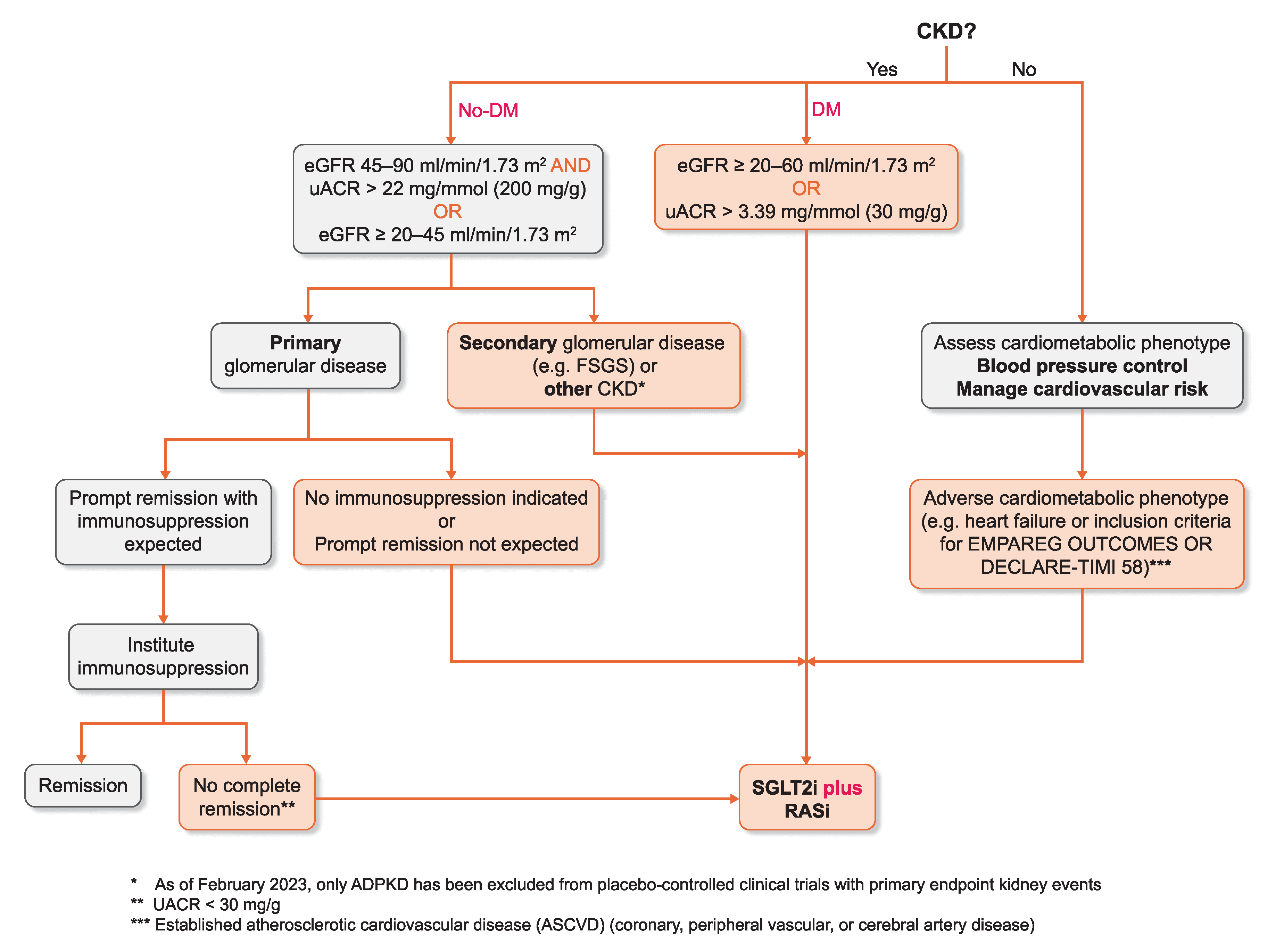 SGLT2 Inhibition in Chronic Kidney Disease: ERA 2023 Guideline Summary