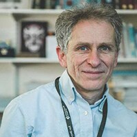 Delaying Progression of Type 1 Diabetes: An Emerging Reality?