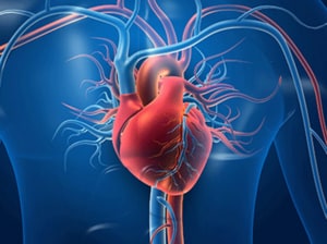 Medscape Education | Emergency Medicine