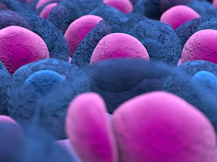 Mastering Oral Therapies in CLL and MCL: Essential Strategies and ...