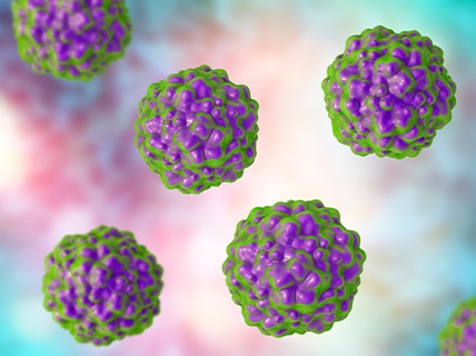 Dengue Frontline: Essential Knowledge for Healthcare Providers