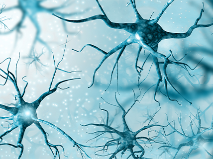 Patient-Centric Approaches for the Management of Agitation in Alzheimer ...