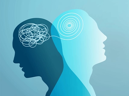 Unraveling the Perplexities of Mixed Features in Mood Disorders: Expert ...