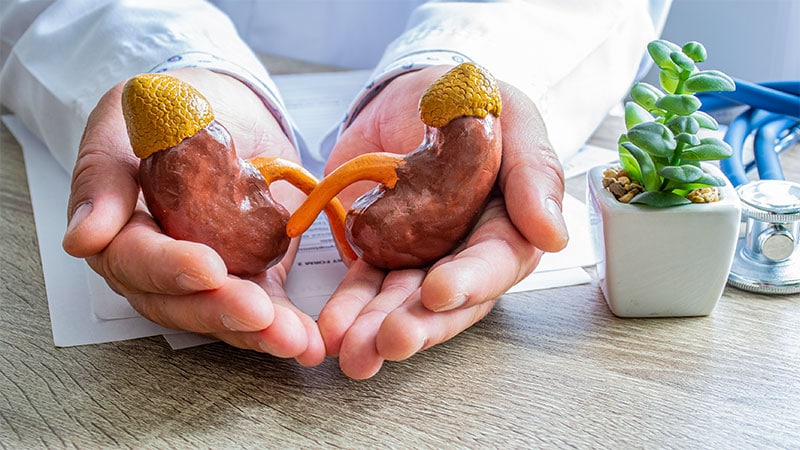 Finerenone Offers Hope for Kidney Disease in Type 1 Diabetes