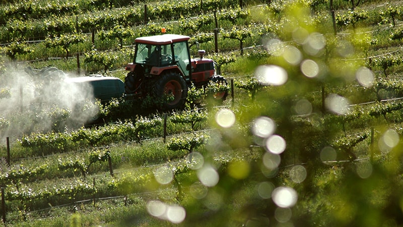 À la Une - Medscape