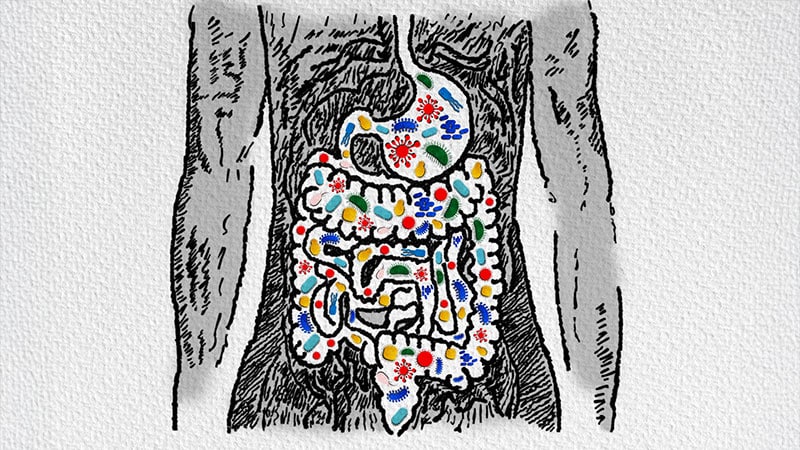 Inside the Gut Microbiome: Function, Disease and the Future