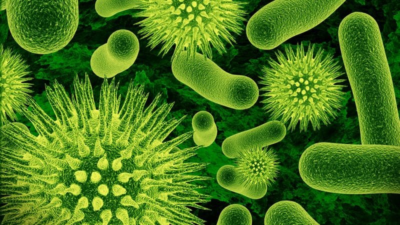Bactérias persistentes têm diferentes naturezas fisiológicas