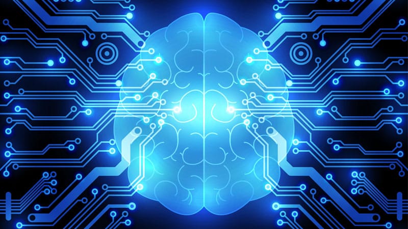 Lab-Grown ‘Tiny Brains’ Mimic and Help ID Brain Disorders