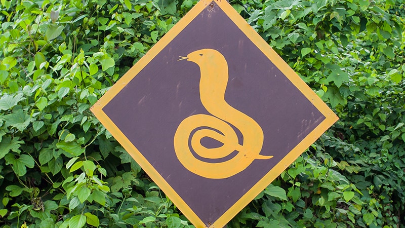 Caso clínico: una mujer y una serpiente venenosa tirolesa