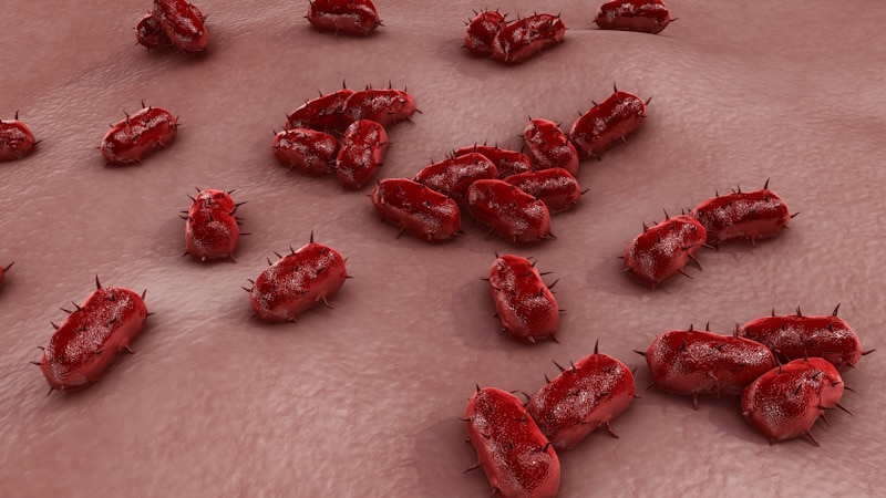 Fungal Meningitis Outbreak Traced to Epidurals From Mexico