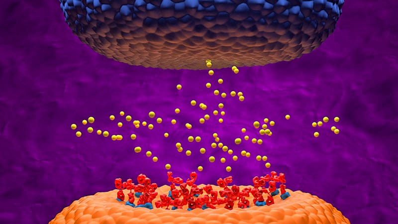 FDA Approves Uplizna for Generalized Myasthenia Gravis