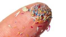 Microplastics Have Been Found in the Human Brain. Now What?