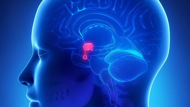 Linee guida NICE - Aneurisma dell'aorta addominale, diagnosi e gestione