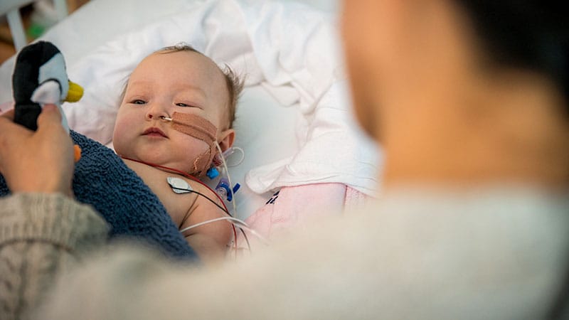 Pertussis Re-emerges as a Threat to Infants