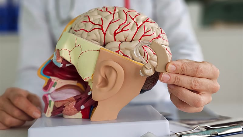 Brain-Controlled Hearing System Passes First In-Human Trial