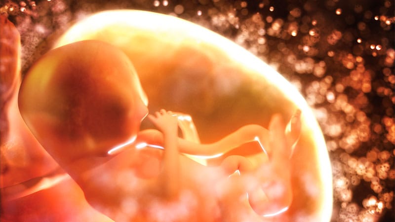 Do We Need to Reconsider When a Foetus Becomes Sentient?