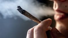 Cannabis in Cancer: What Oncologists, Patients Should Know