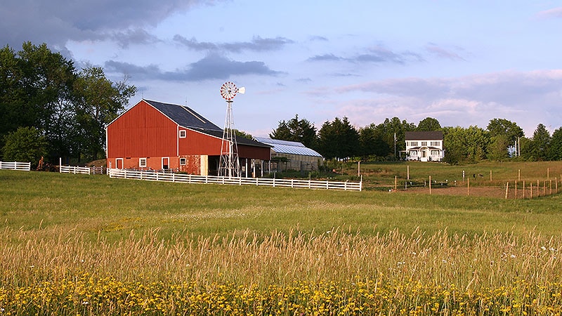 Enticing Rural Residents to Practice Where They Train