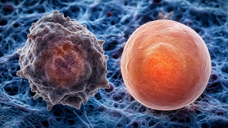 Inside the Quest to Make Old Cells Young Again