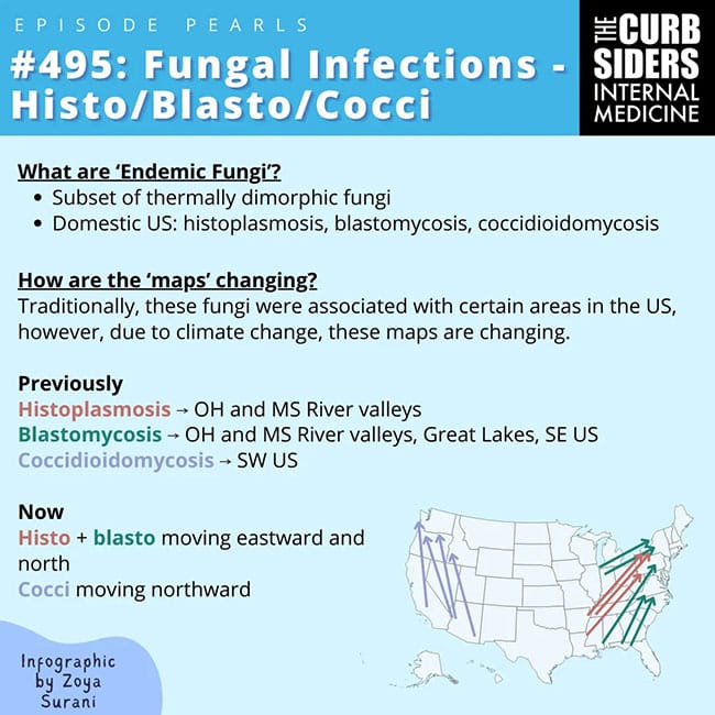 Mycoses and Misdiagnoses: When to Test for Fungal Infections