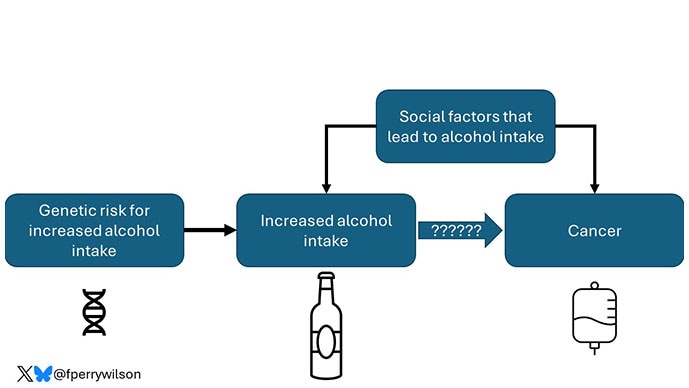 Do I Drink Too Much?