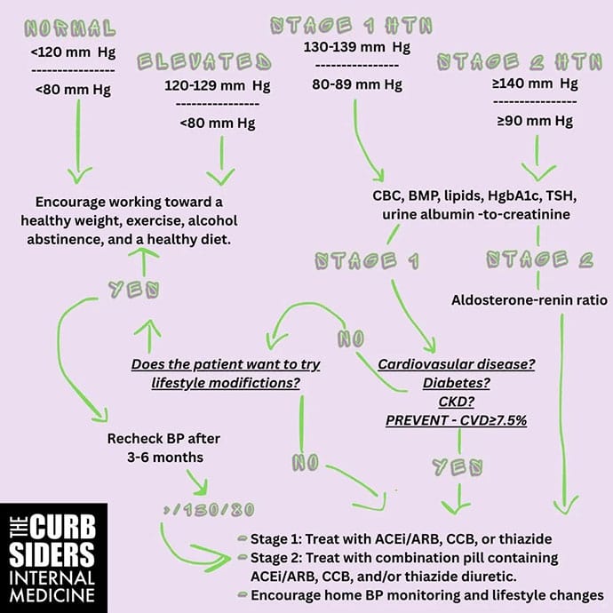 Translating Hypertension Guidelines Into Clinical Practice